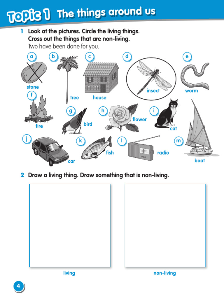 Macmillan Science Level 1 Workbook Topic 1 PP 4 7 | PDF | Nature ...