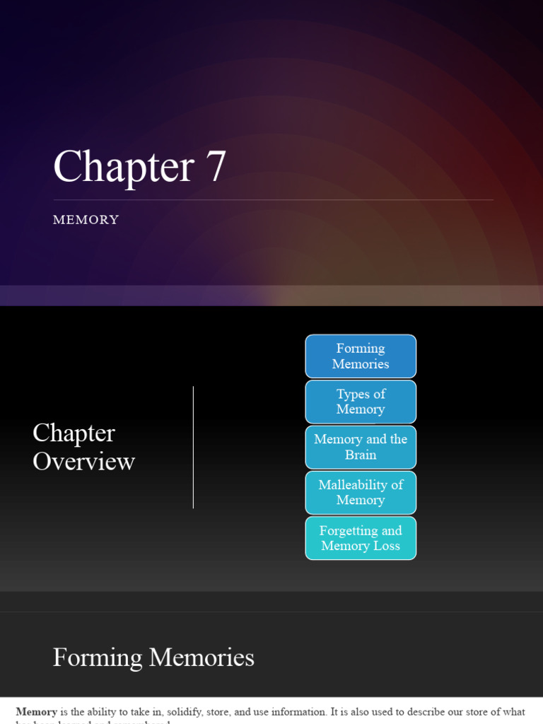 Chapter 7 | Download Free PDF | Memory | Long Term Memory