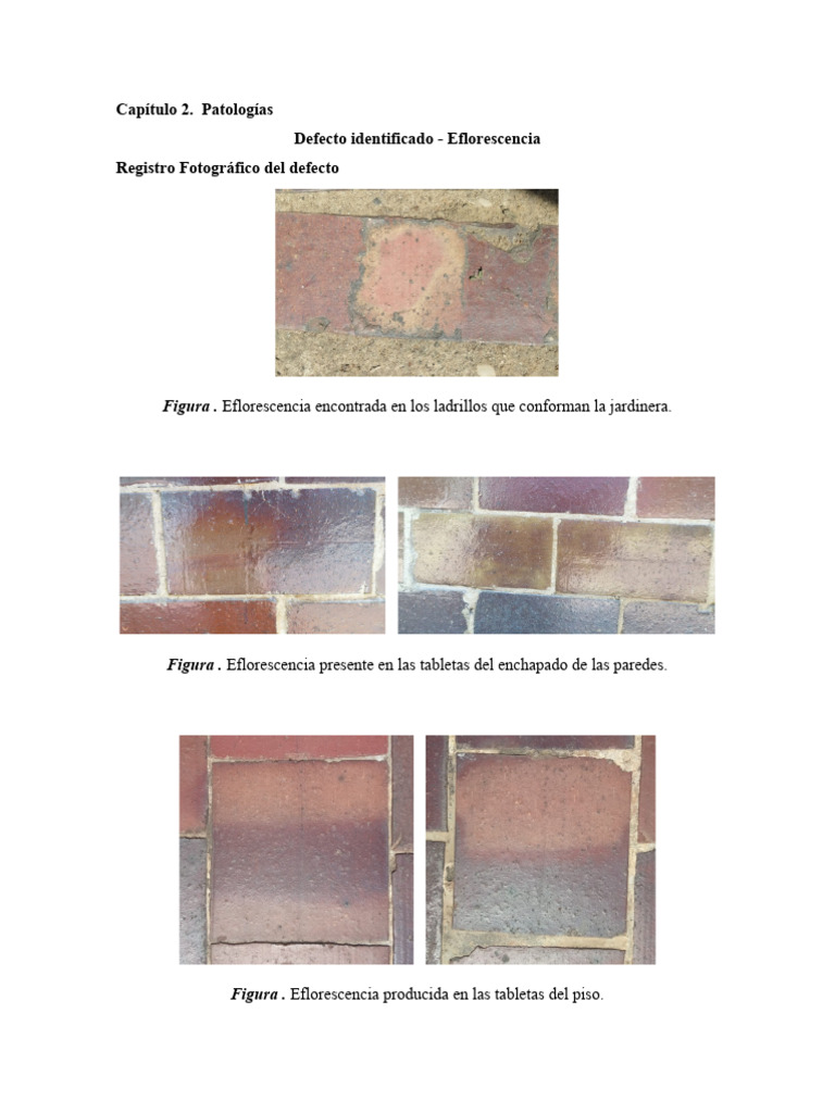 Capítulo 2 - Proyecto | PDF | Sal (química) | Ladrillo