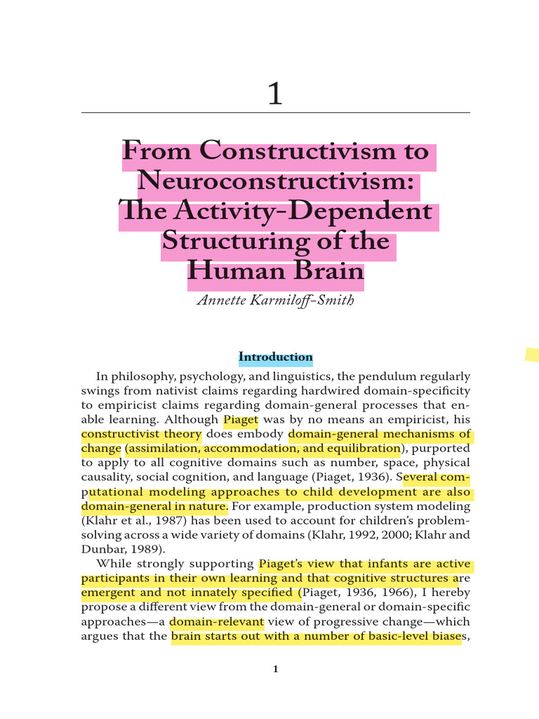 From Constructivism To Neuroconstructivism | PDF | Synapse | Brain