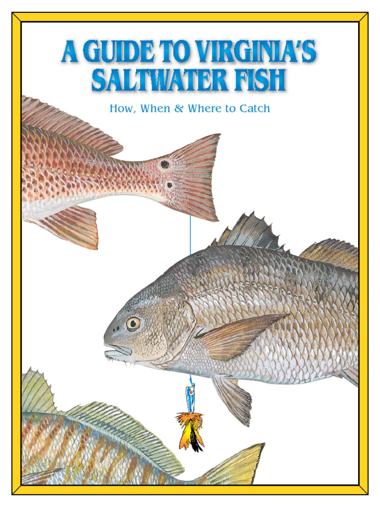 Angler Web Catch | PDF | Chesapeake Bay | Fish And Humans
