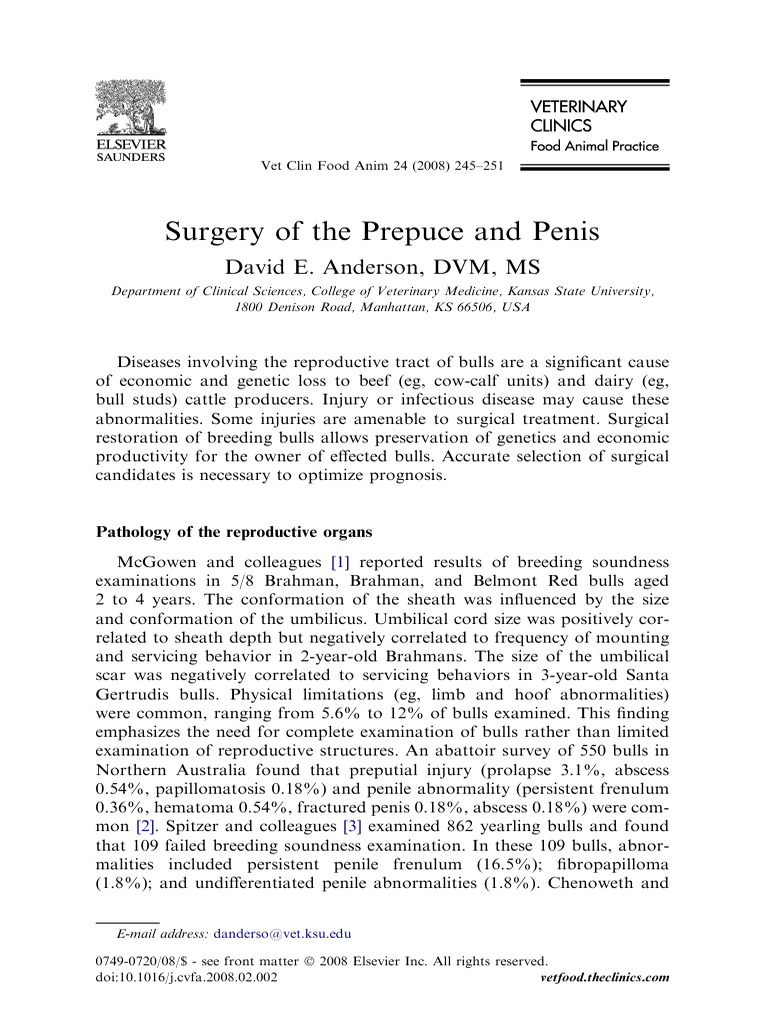 Surgery of The Prepuce and Penis | PDF | Surgery | Wound