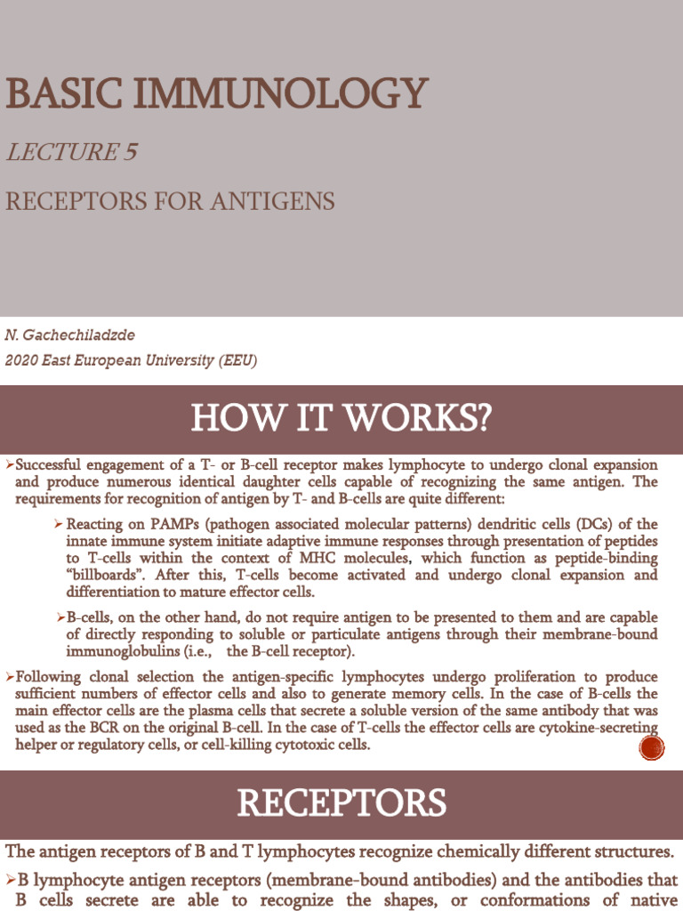 Lecture 5 Receprots For Antigens | PDF | Antigen | T Cell