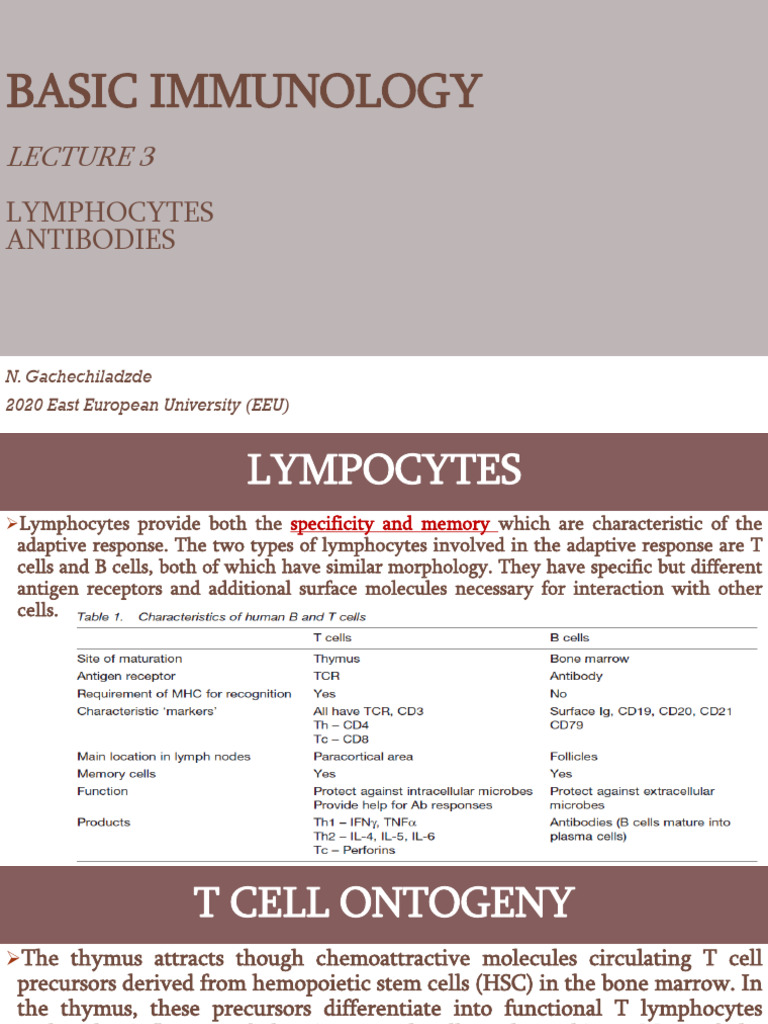 Lecture 3 Lymphocytes and Antibodies | PDF | Antibody | T Cell