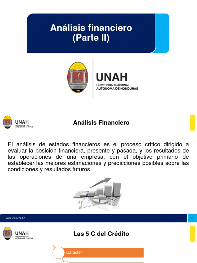 Tema 2 - AnÃ¡lisis de Estados Financieros (Parte II) | PDF | Deuda | Business