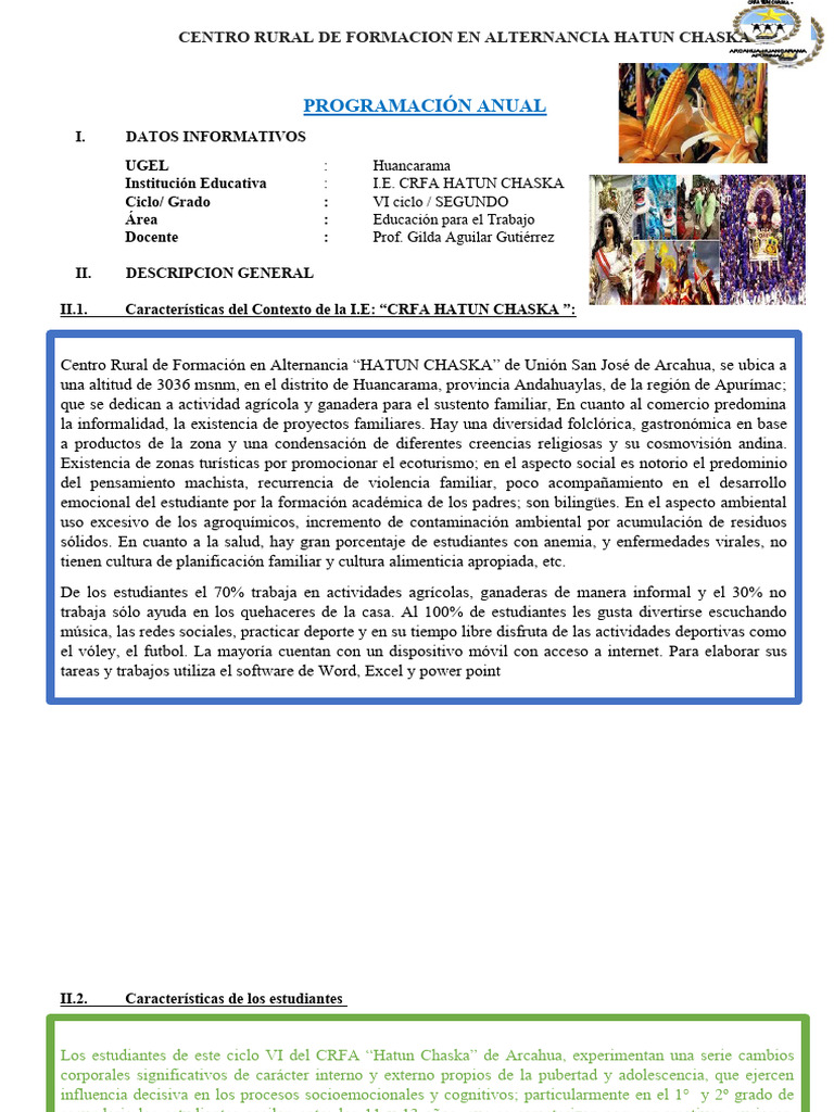 Programacion Anual 2024 2°crfa | PDF | Iniciativa empresarial | Diseño