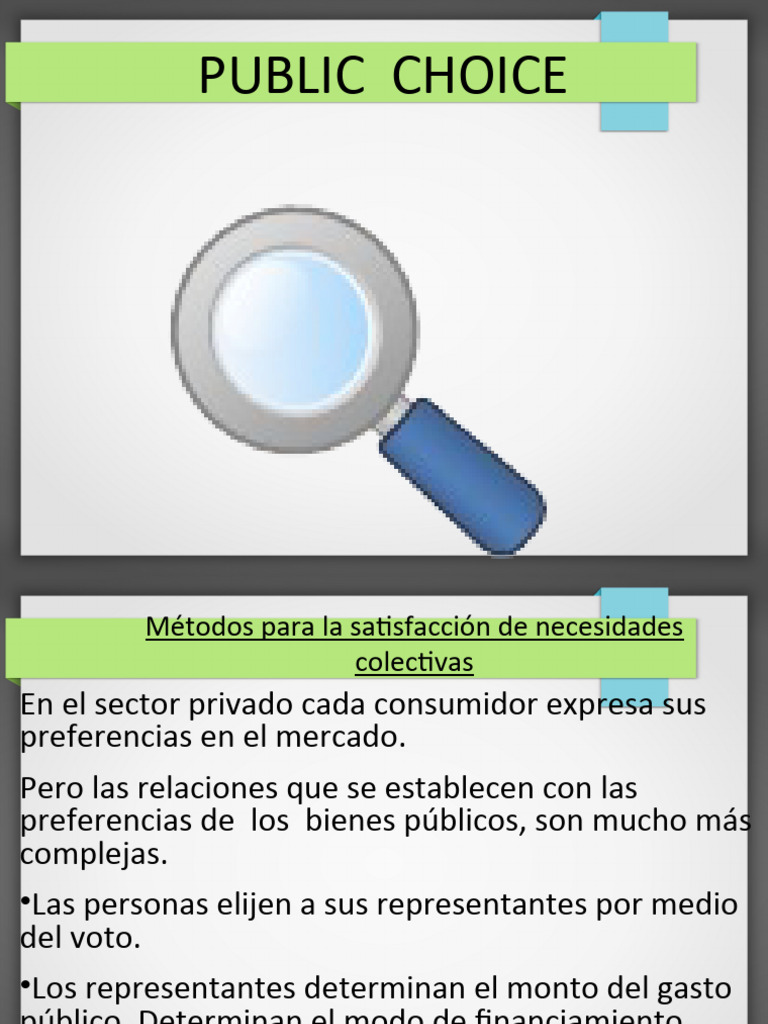Teoría de Elección Pública y Bienes Públicos | PDF | Elección pública ...