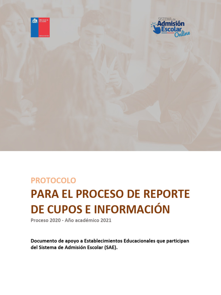 Protocolo Reporte Información SIGE v1.0 | PDF | Outsourcing | Inclusión (Educación)