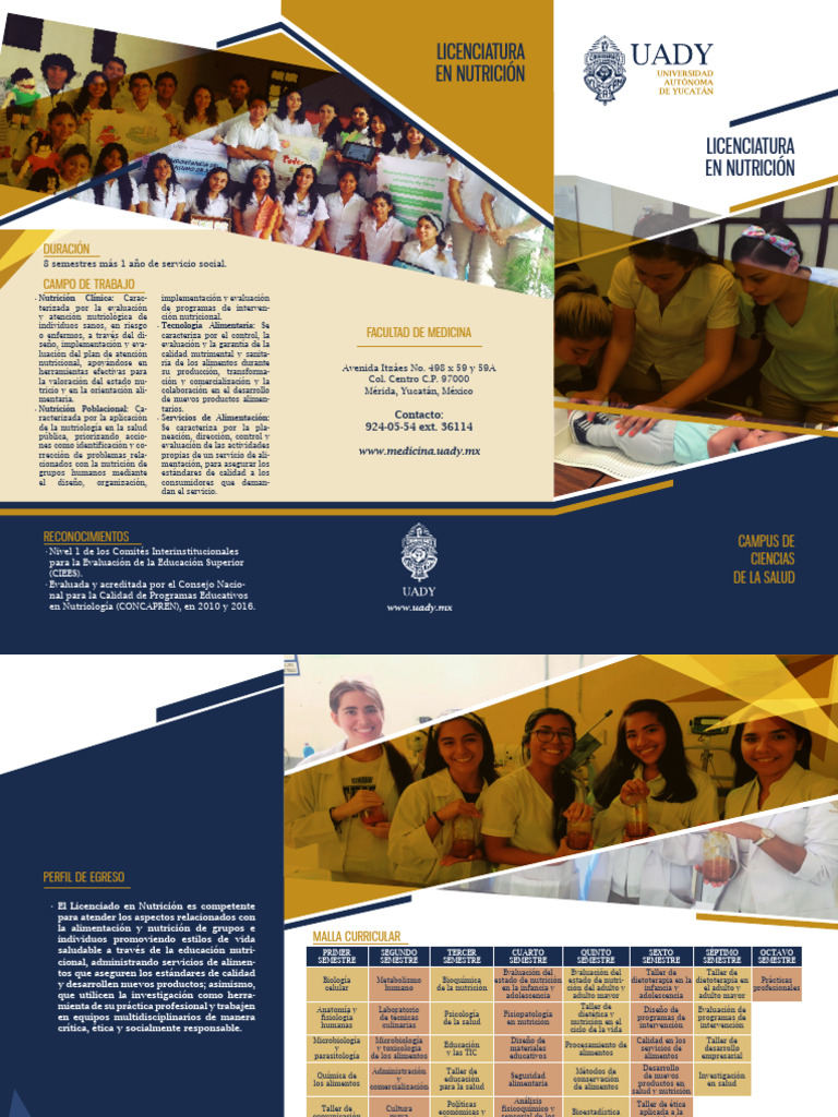 Triptico Nutricion | PDF | Dietético