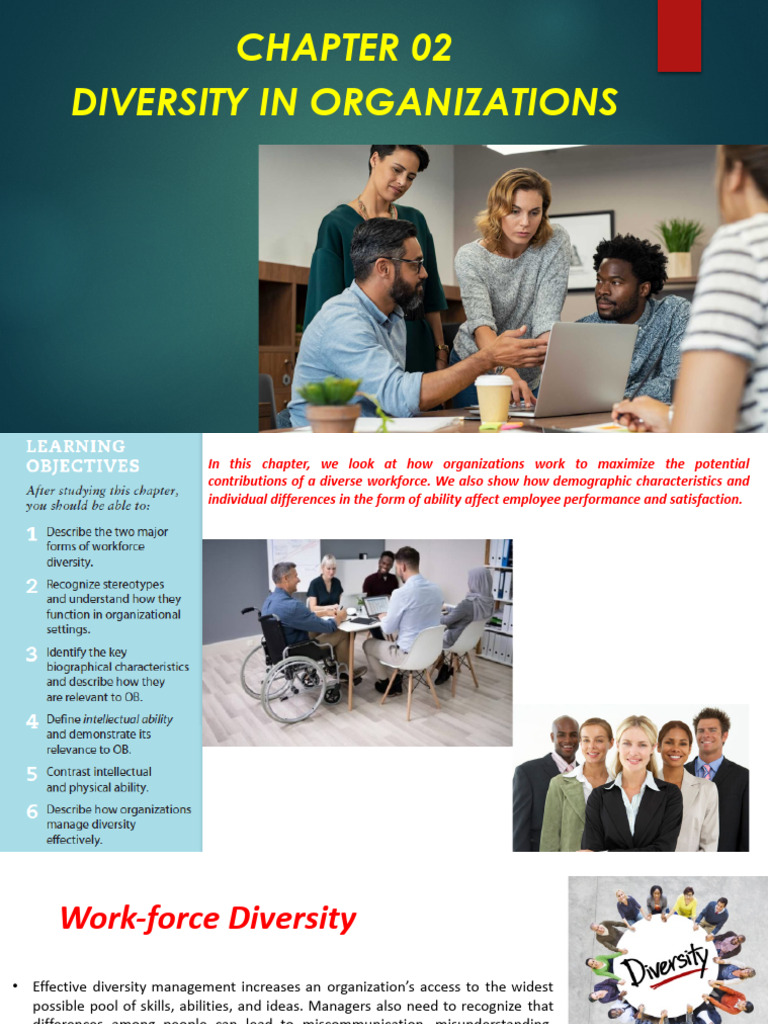 CH - 02 (Diversity in Organization) | PDF | Employment | Employment ...