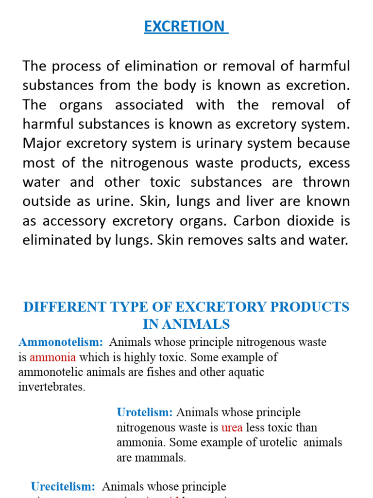 Excretion and Osmoregulation | PDF | Kidney | Homeostasis