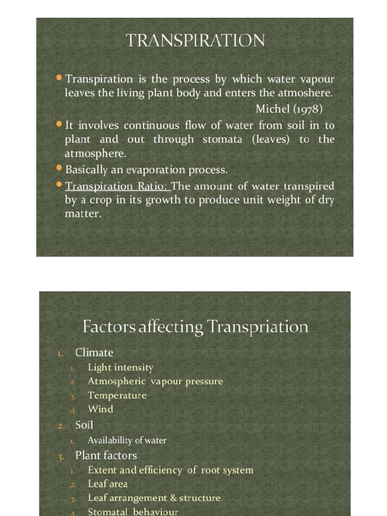 Factors Affecting Plant Transpiration Rates | PDF | Art