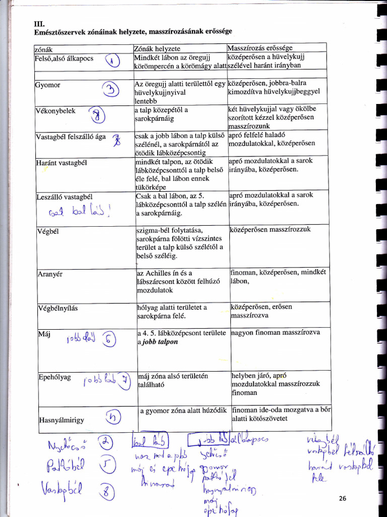Talpreflexológia Menete | PDF