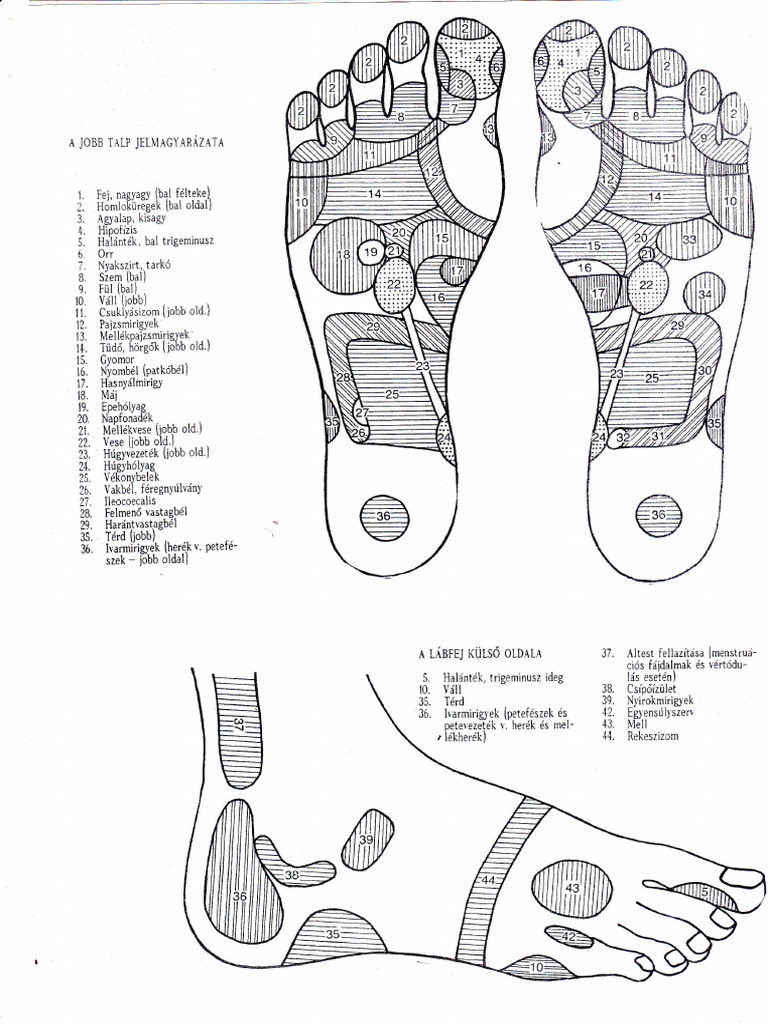 Lábtérkép jobbés bal talp,lábfej reflexpontok | PDF