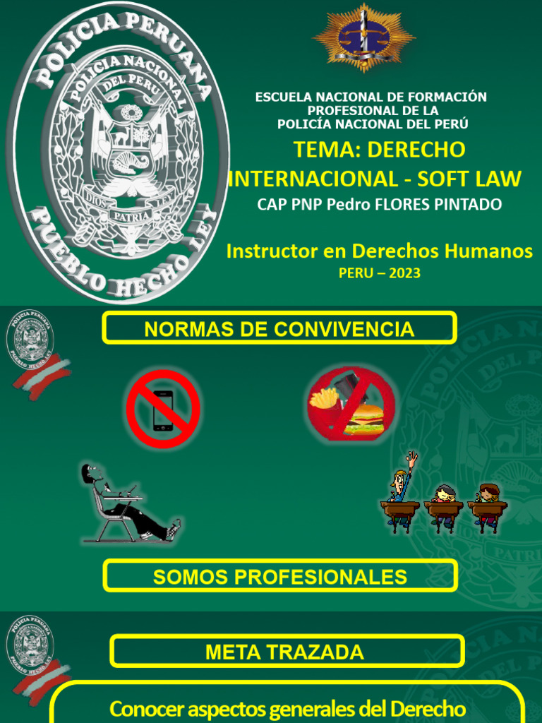 Principios de Soft Law en Derecho Internacional | PDF | Armas de fuego ...