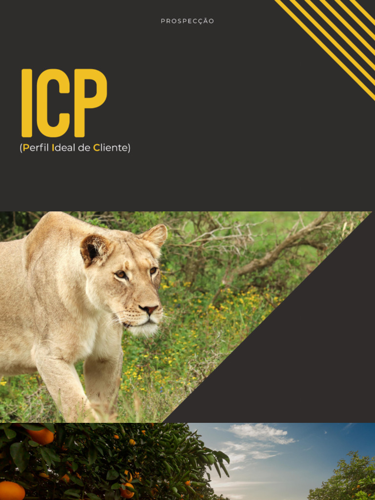 Aula_2_ICP_Giovanne_Saraiva | PDF