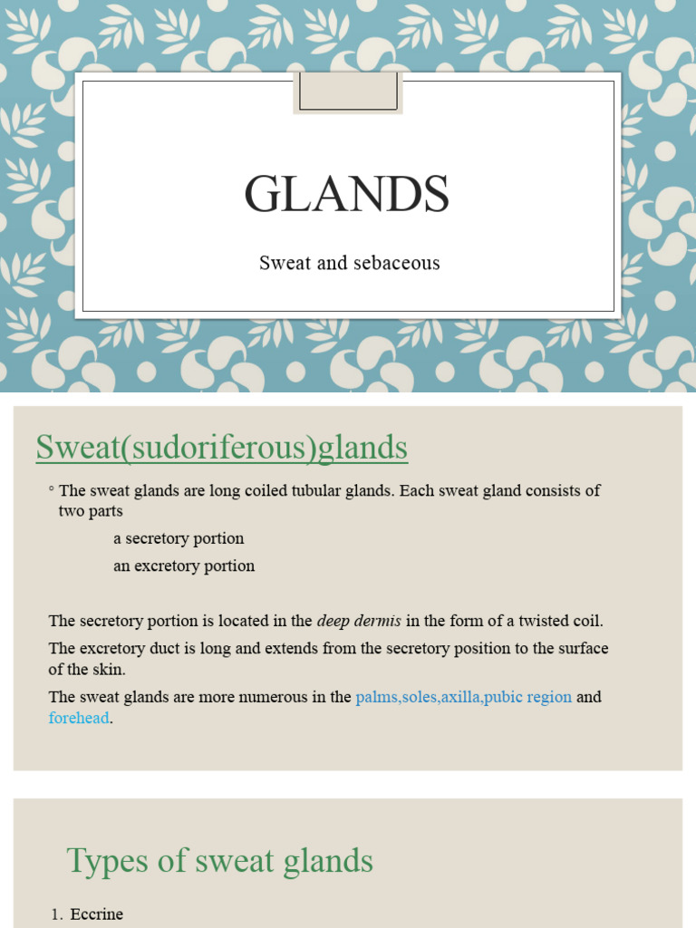 Skin Glands | PDF | Glands | Organ (Anatomy)
