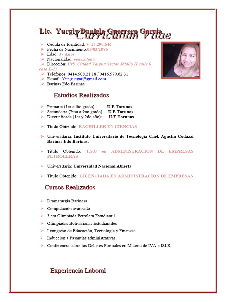 CURRICULUM DANY ACTUAL | Descargar gratis PDF | Business | Economias