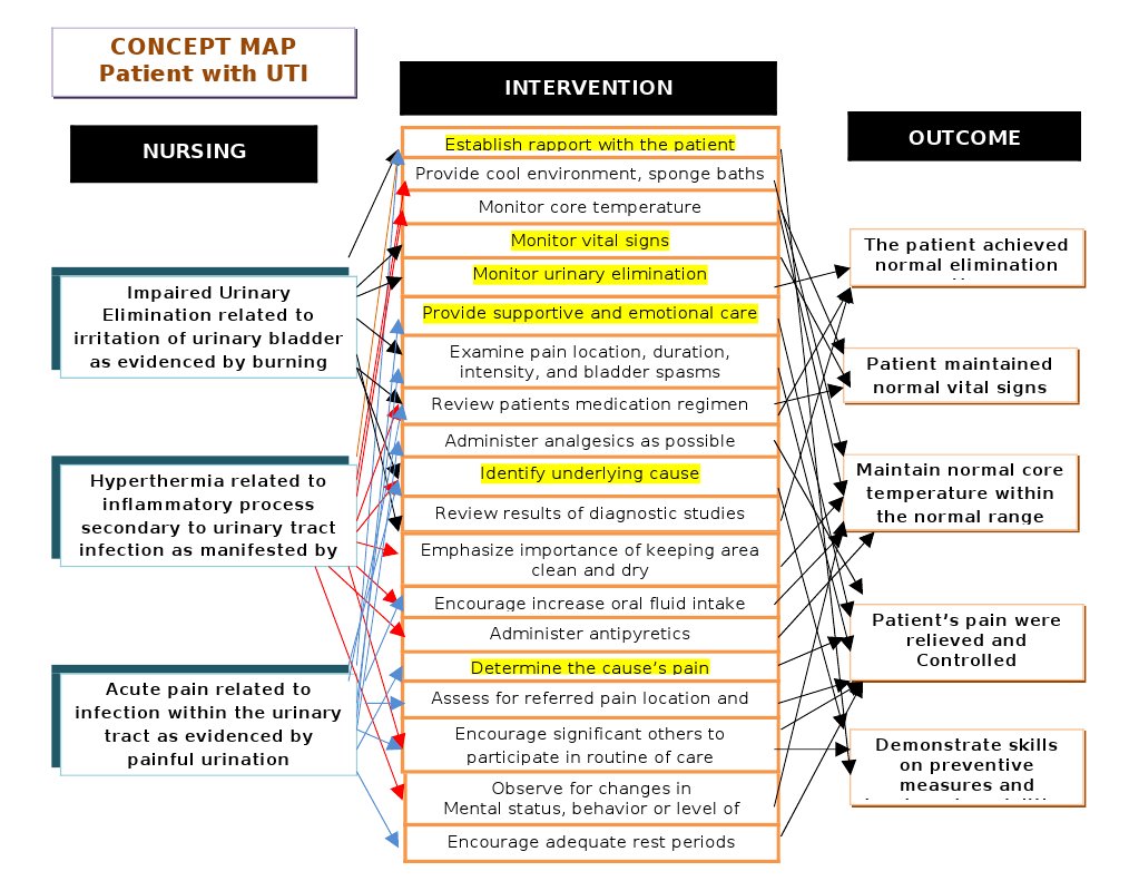 Concept Map | PDF | Urinary Tract Infection | Pain