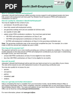 Income and Assets Form SA369 Guide | PDF | Money | Economies