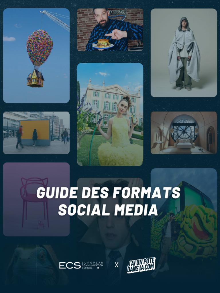 Guide Des Formats Social Media | PDF