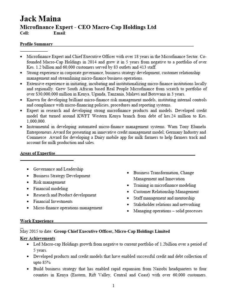 CV Sample | PDF | Microfinance | Small And Medium Sized Enterprises