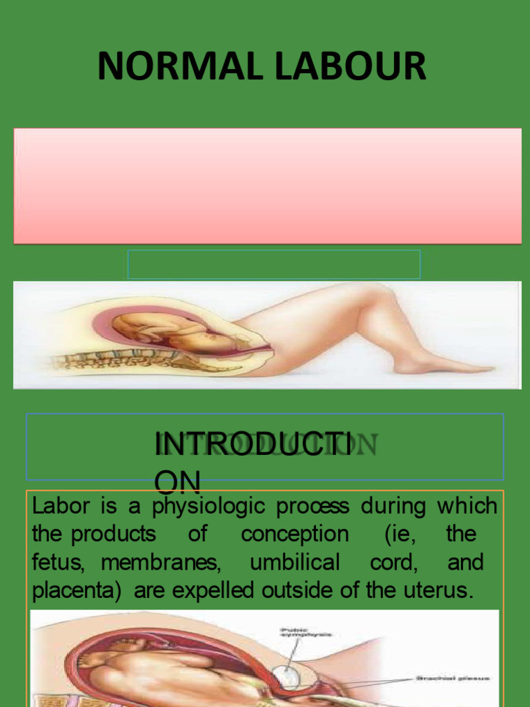 Stages of Labour - 2 | PDF | Childbirth | Uterus