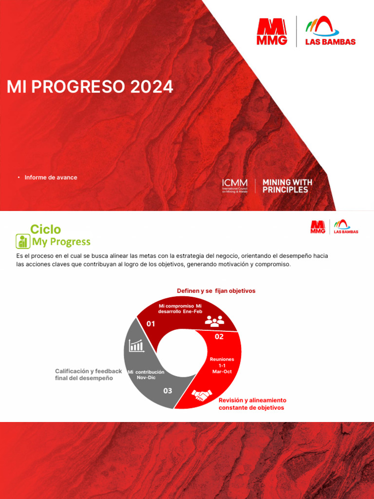 My Progress - Manual | PDF