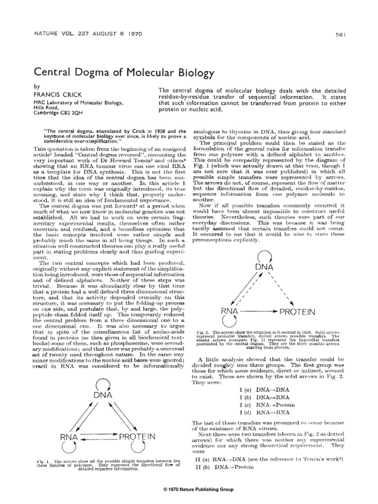 01 Central Dogma of Molecular Biology | PDF