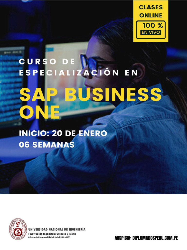 Curso SAP Business One en UNI 2025 | PDF | Business