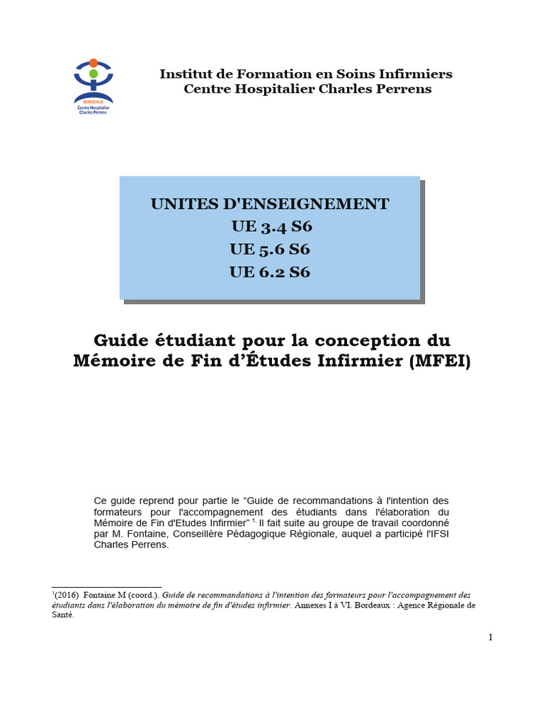 Guide Etudiant MFEI | PDF