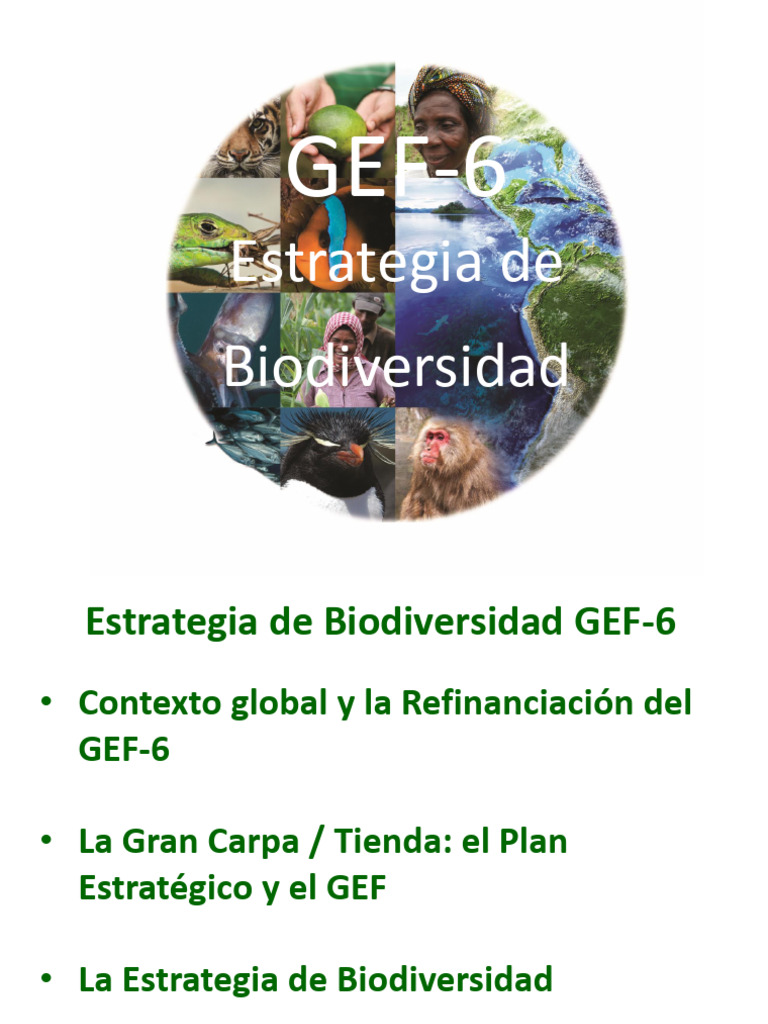 Gef 6 | PDF | Biodiversidad | Los bosques