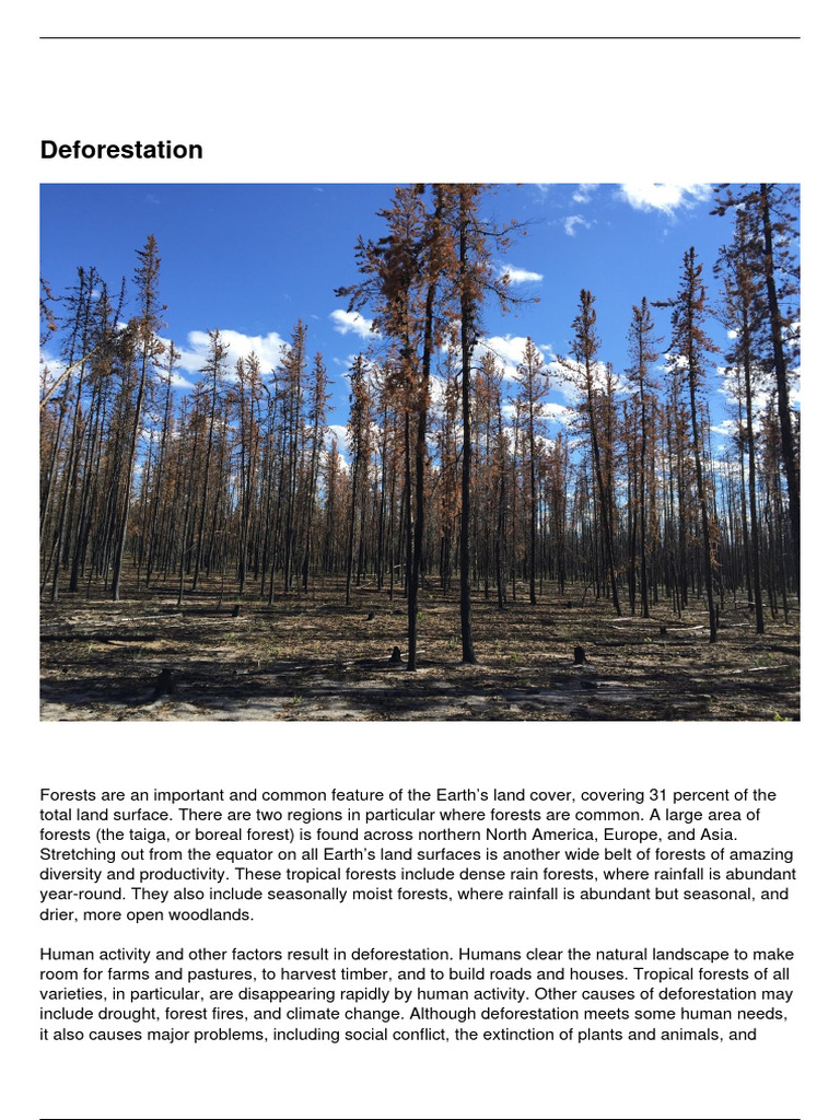 Deforestation | PDF | Forests | Deforestation