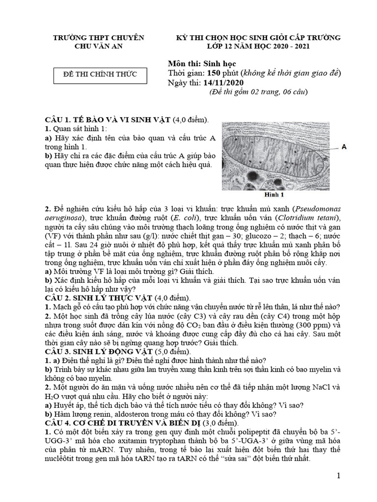 TÍT ĐỀ, HDC HSG 12 | PDF