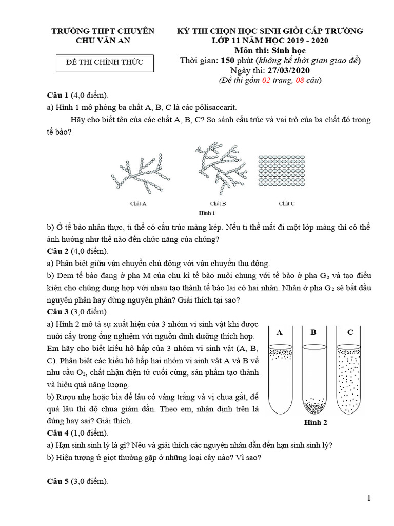 Sinh 11 - Truong | PDF