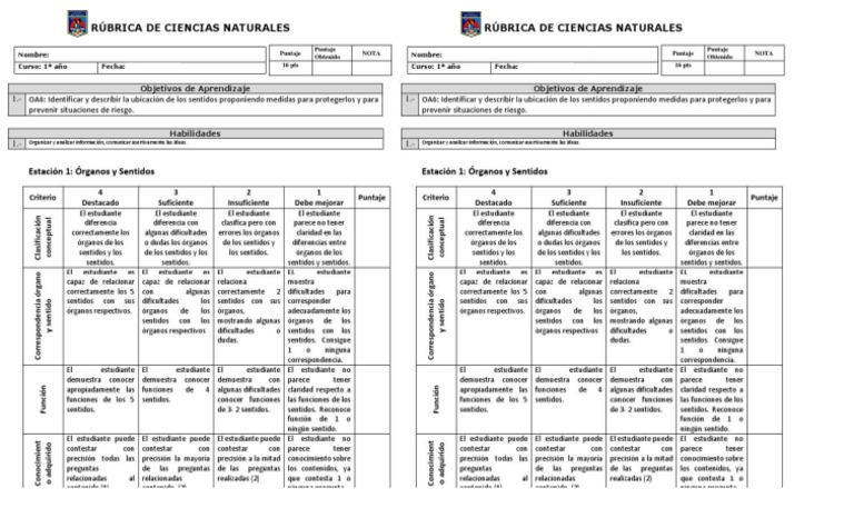 Pauta de evaluacion Exposicion de los sentidos | PDF Pauta de evaluacion Exposicion de los sentidos | PDF
