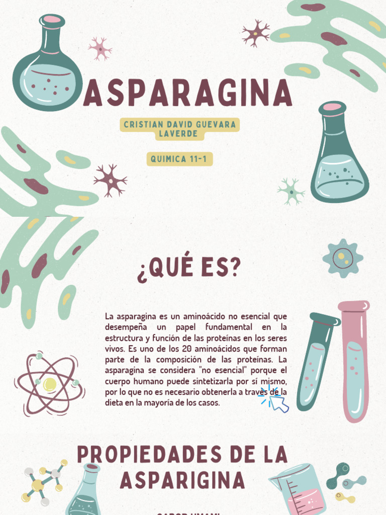 Asparagina | PDF | Proteínas | Biosíntesis