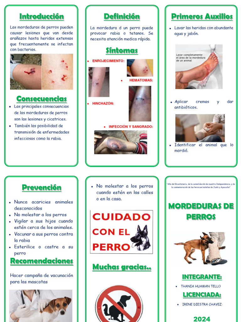 Triptico - Mordeduras de Perros | PDF | Rabia | Infección