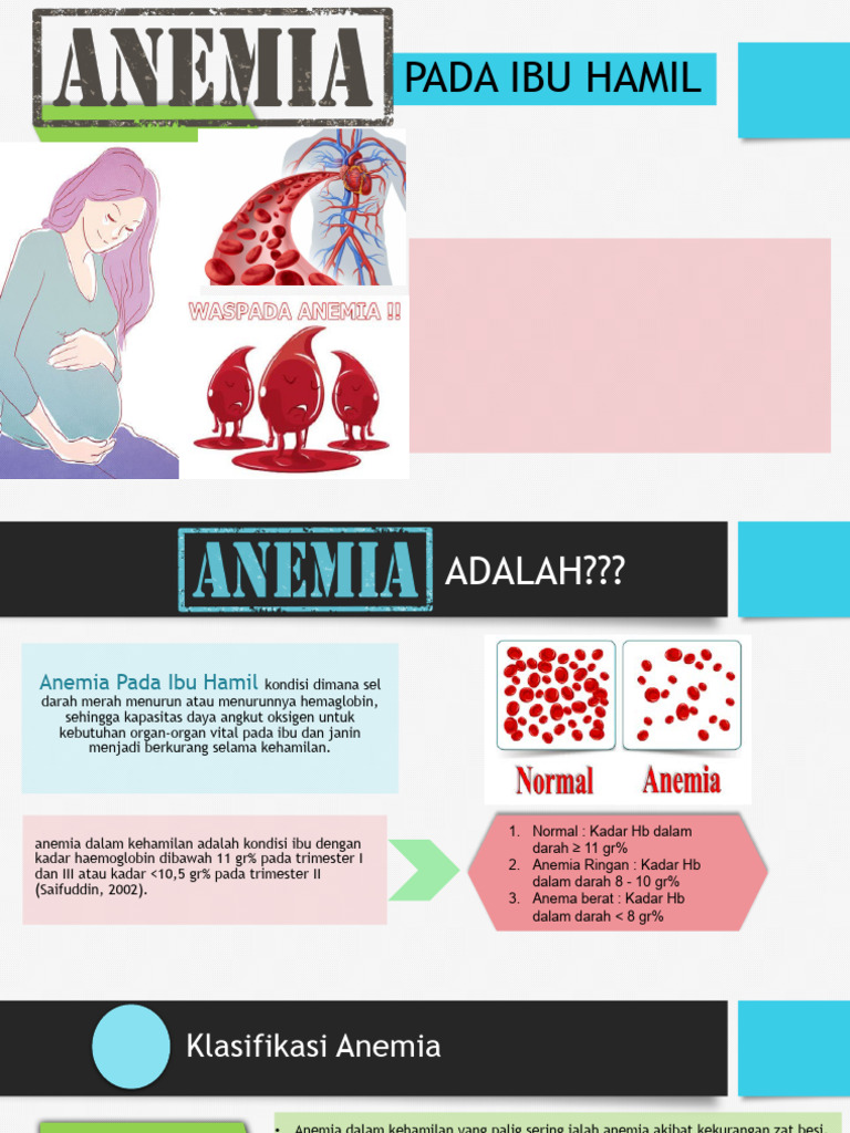 Anemia Pada Ibu Hamil | PDF