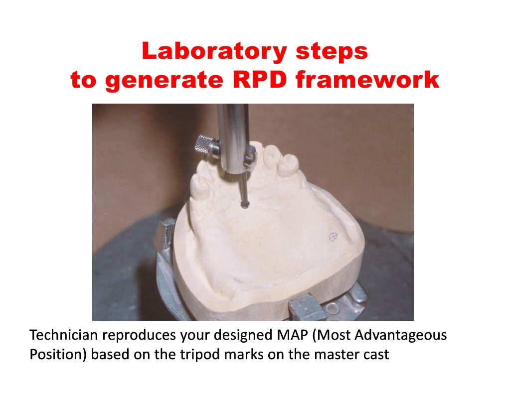RPD Laboratory Steps To Generate A Framework | PDF | Nature