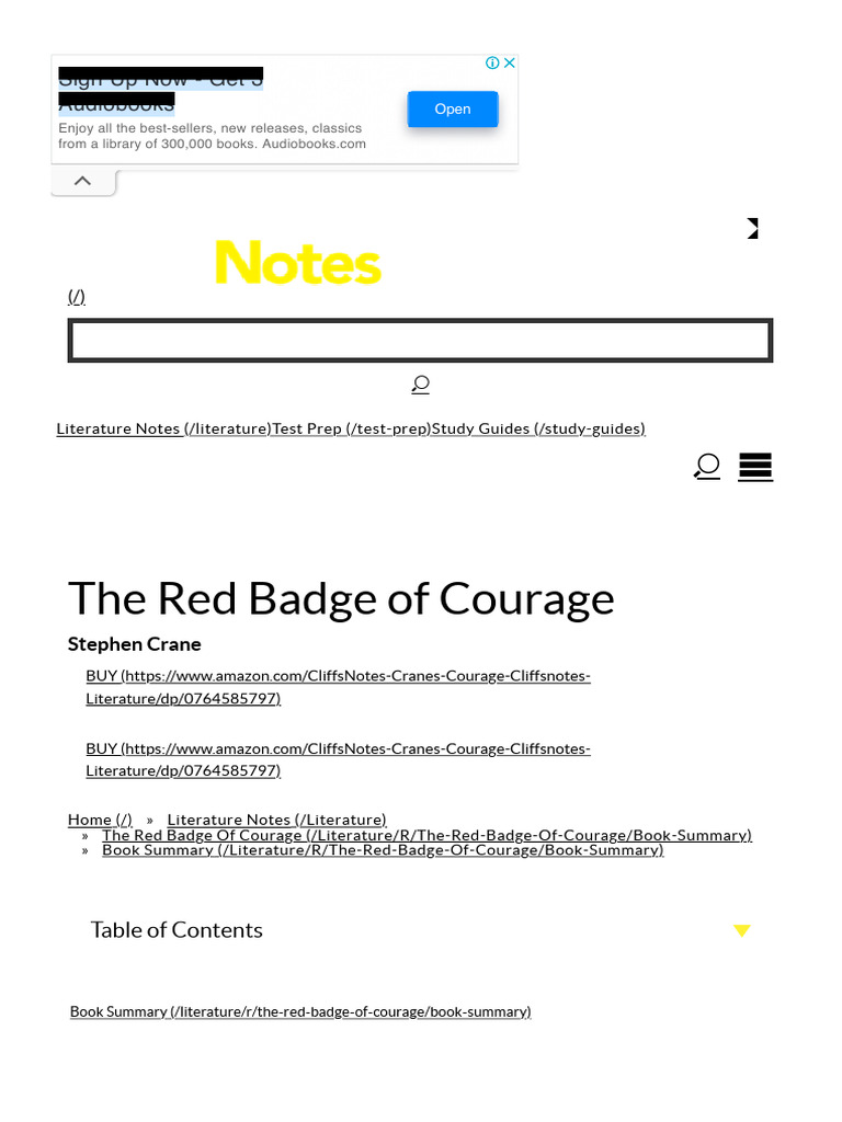 Book Summary | PDF | The Red Badge Of Courage
