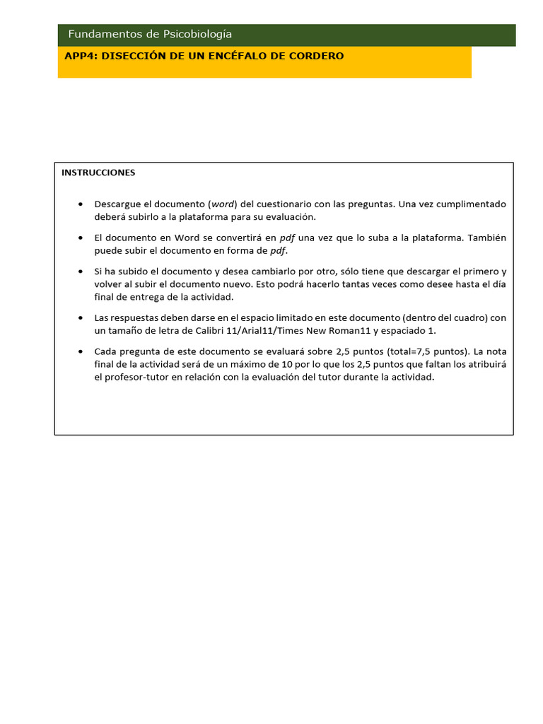 Disecando el Encéfalo de Cordero | PDF | Cerebelo | Cerebro