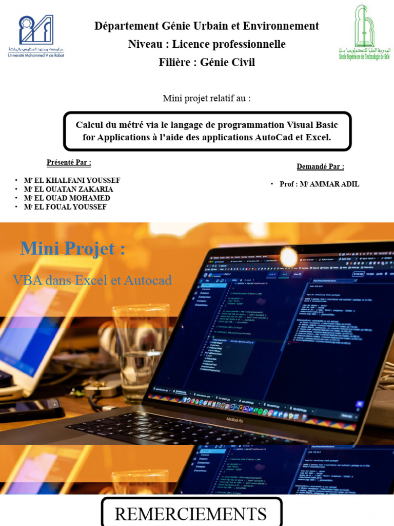 Mini Projet VBA | PDF | Visual Basic for Applications | Microsoft Excel