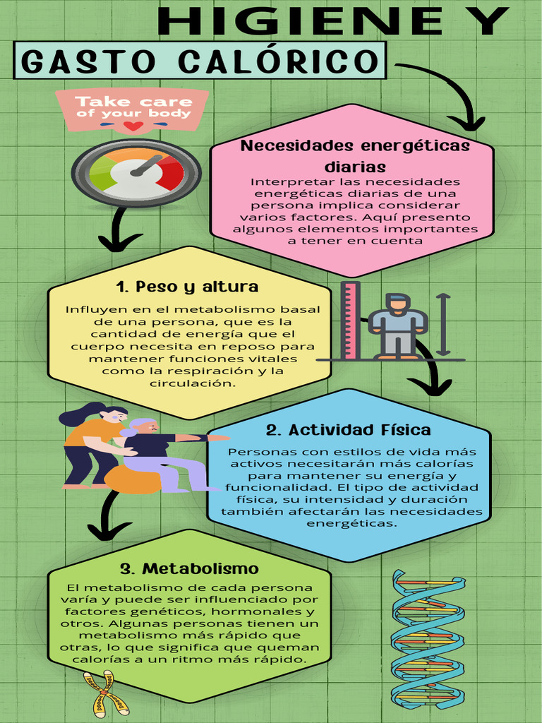 Infografía – Plan de higiene y gasto calórico | Descargar gratis PDF ...