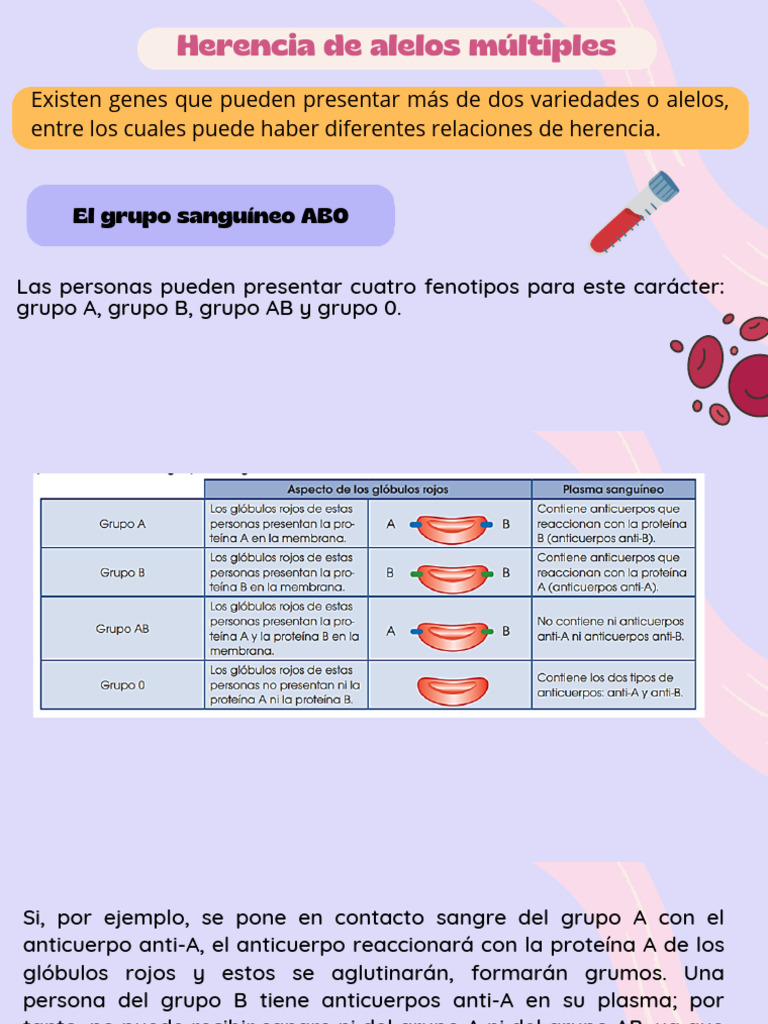 4. Herencia de alelos multiples | PDF