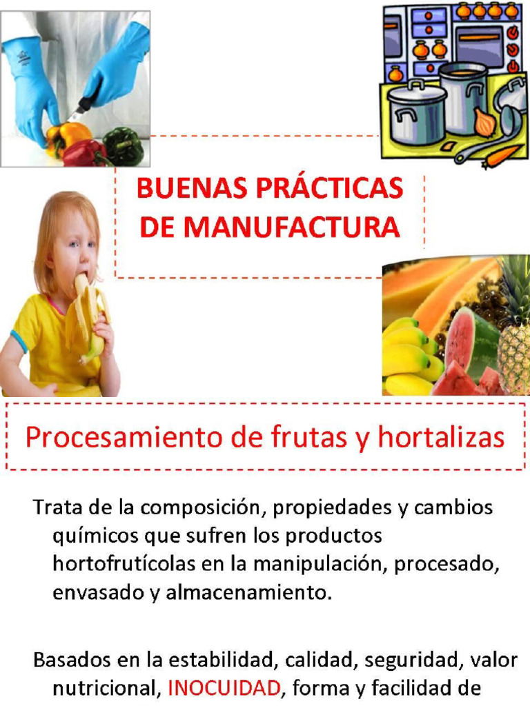 Buenas Practicas de Manufactura | PDF