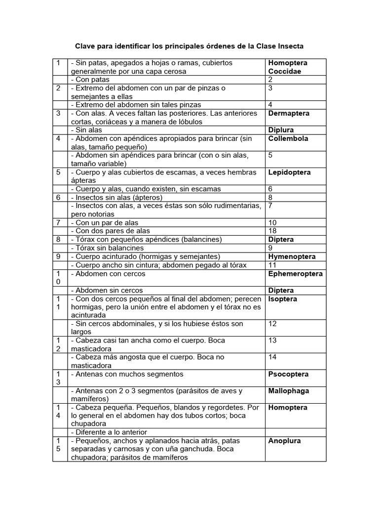 Claves para Identificar Insectos | PDF | Insectos | Mosca
