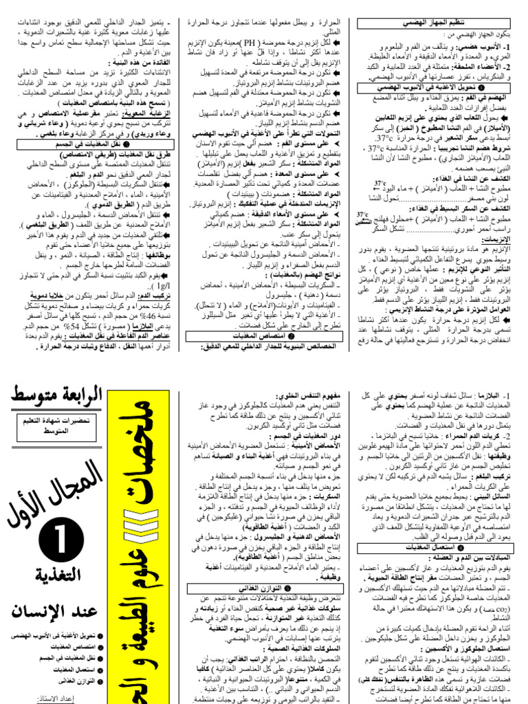 Dzexams Docs 4am 424008 | PDF