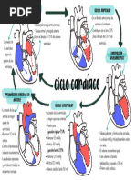 Fases del Ciclo Cardiaco Explicadas | PDF | Ventrículo (corazón) | Corazón
