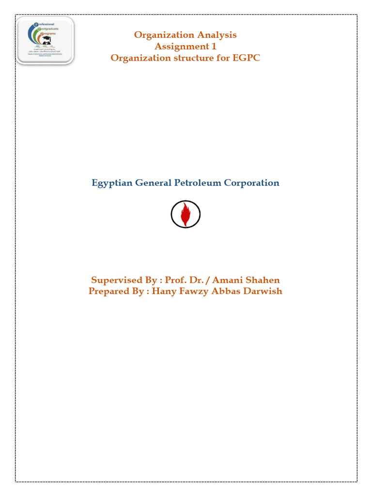 Organization Analysis | Download Free PDF | Organizational Structure ...